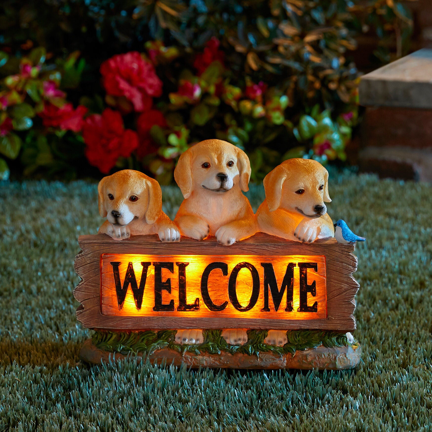 3 Dogs Solar Welcome Sign | Eloquii